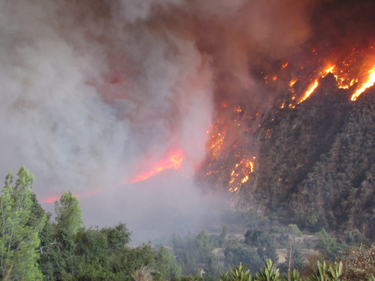 Courses from November 2, 2025 – July 10, 2017 – Elite Command Training